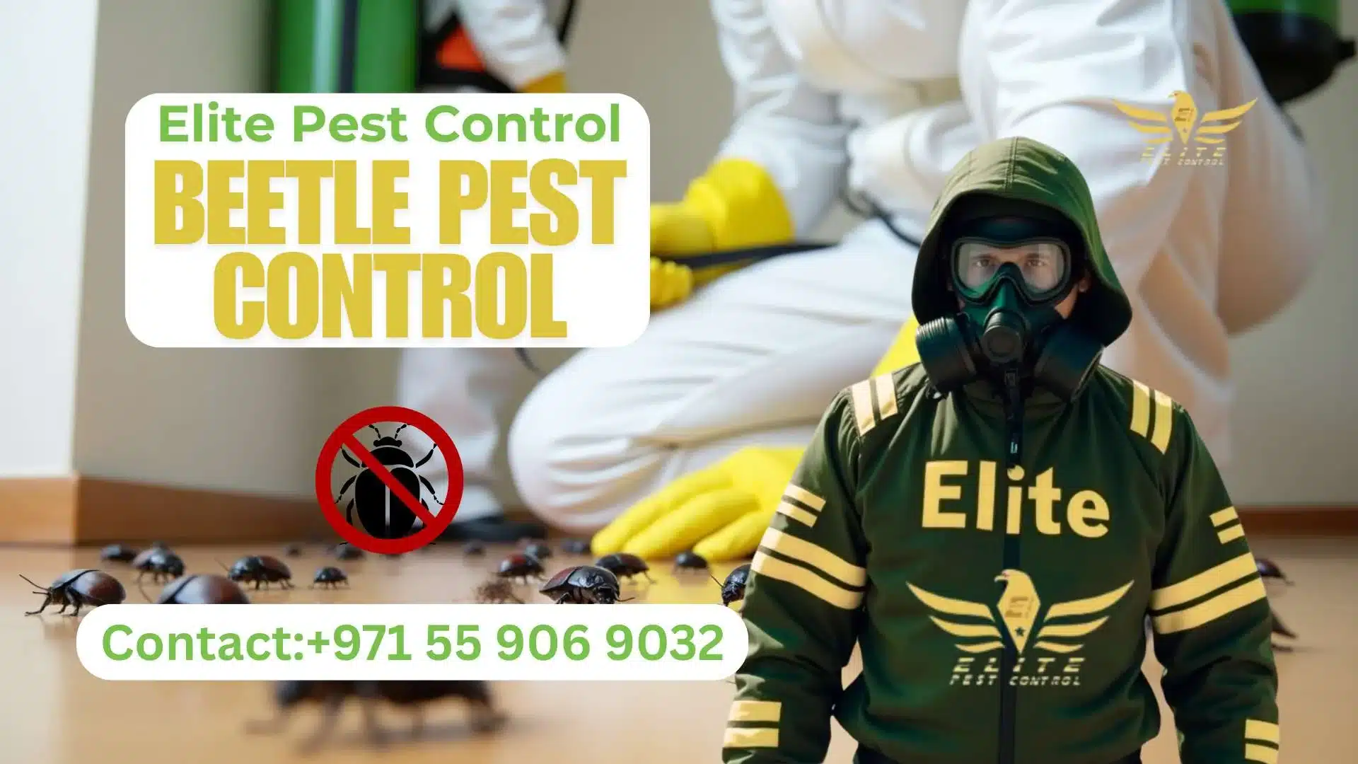 Ultimate Guide to Beetle Pest Control خنفساء Abu Dhabi 2025