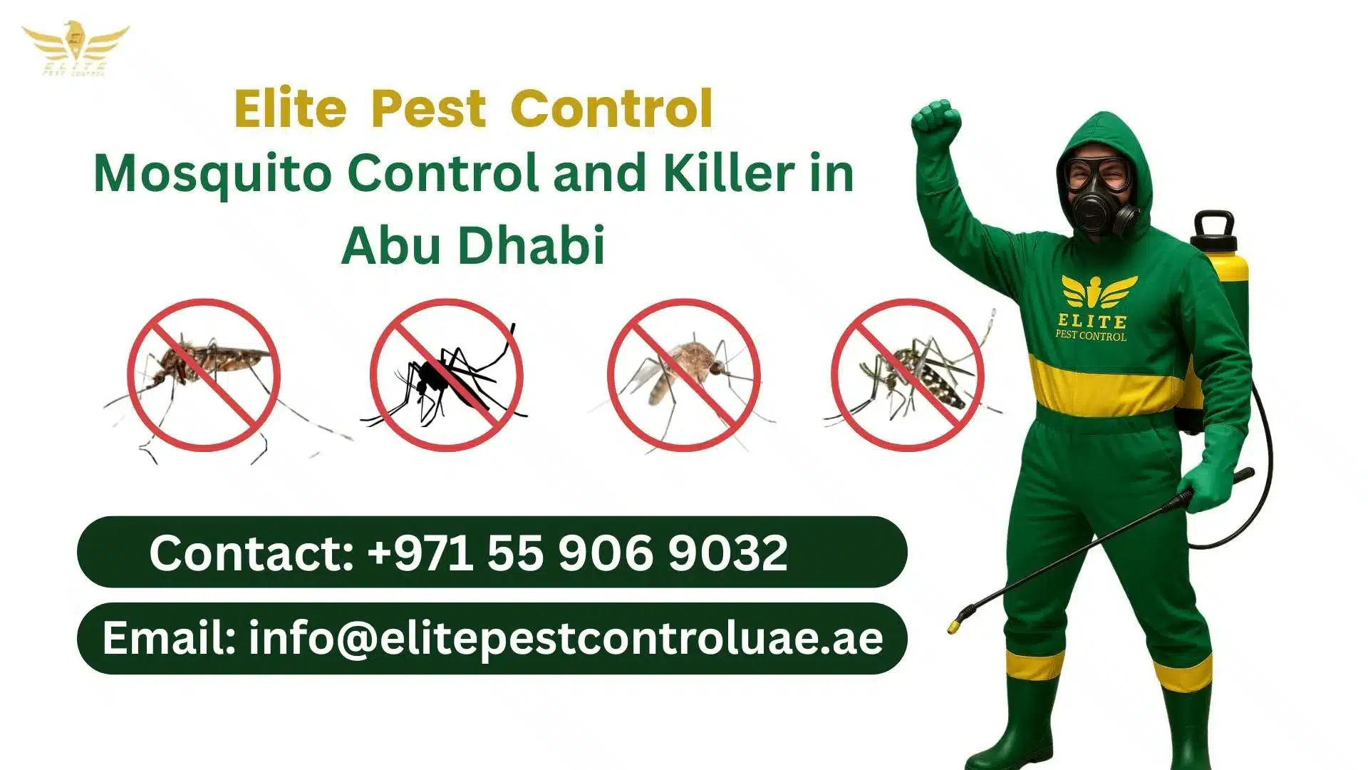 Best Guide to Mosquito Control: Bite-Free Summer in 2025